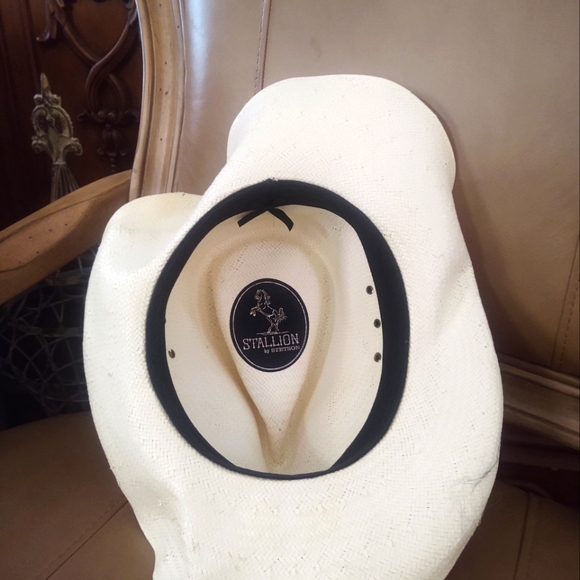 Stetson | Accessories | Stallion By Stetson White Westernstyle Hat ...